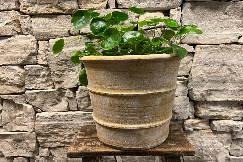 Bloempot Lajka - Giraffa